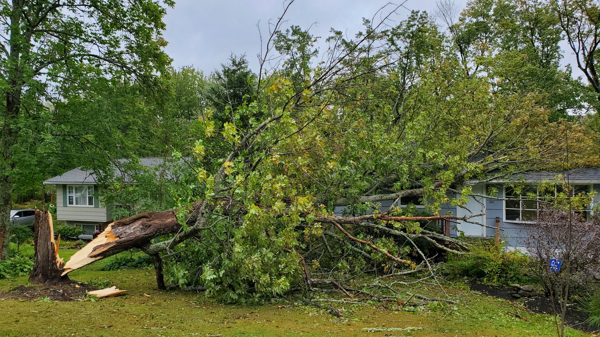 QCCR NEWS & UPDATES | Fiona mostly spares Queens County