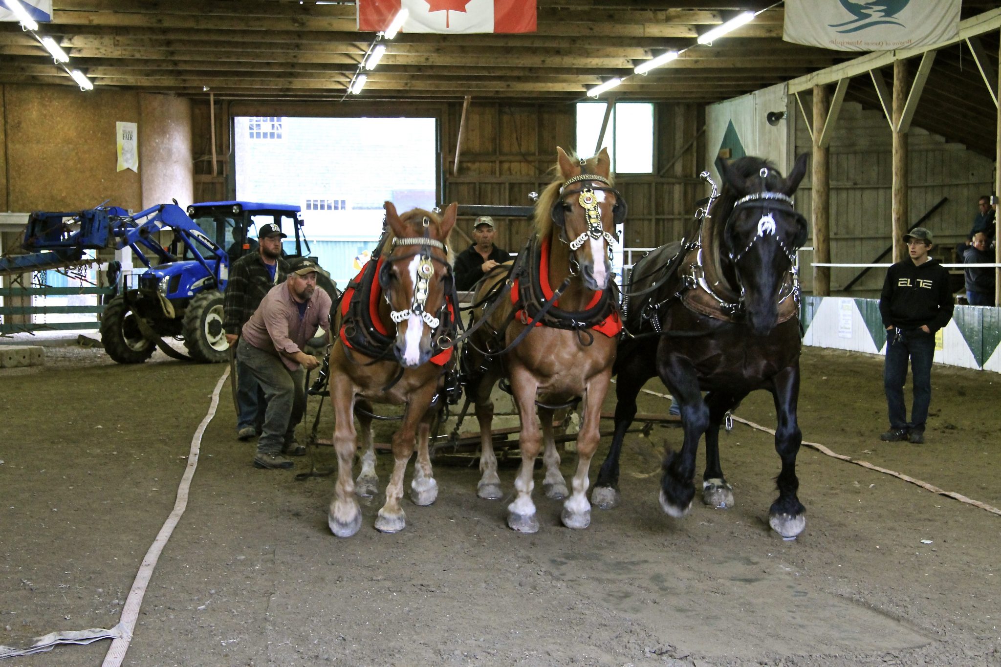 QCCR NEWS & UPDATES | Queens County Fair ready for 2023 with new ...