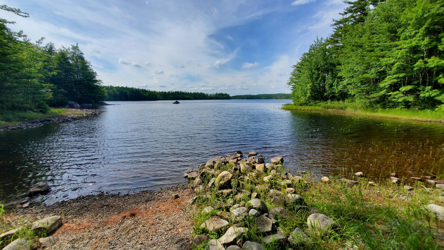 QCCR NEWS & UPDATES | Invasive species removal to educate and introduce ...