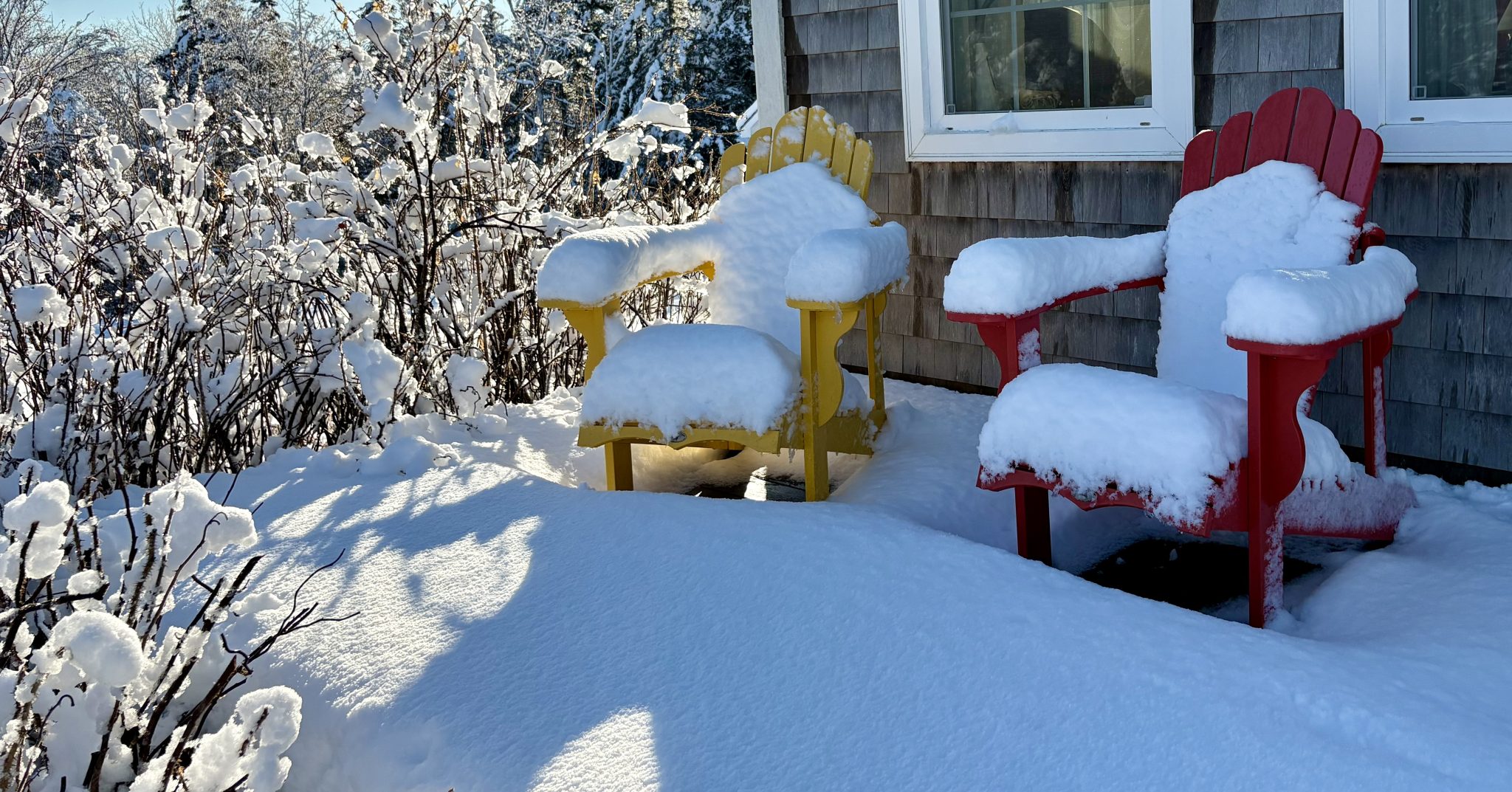 QCCR NEWS & UPDATES | Snow day in Queens as thousands without power ...
